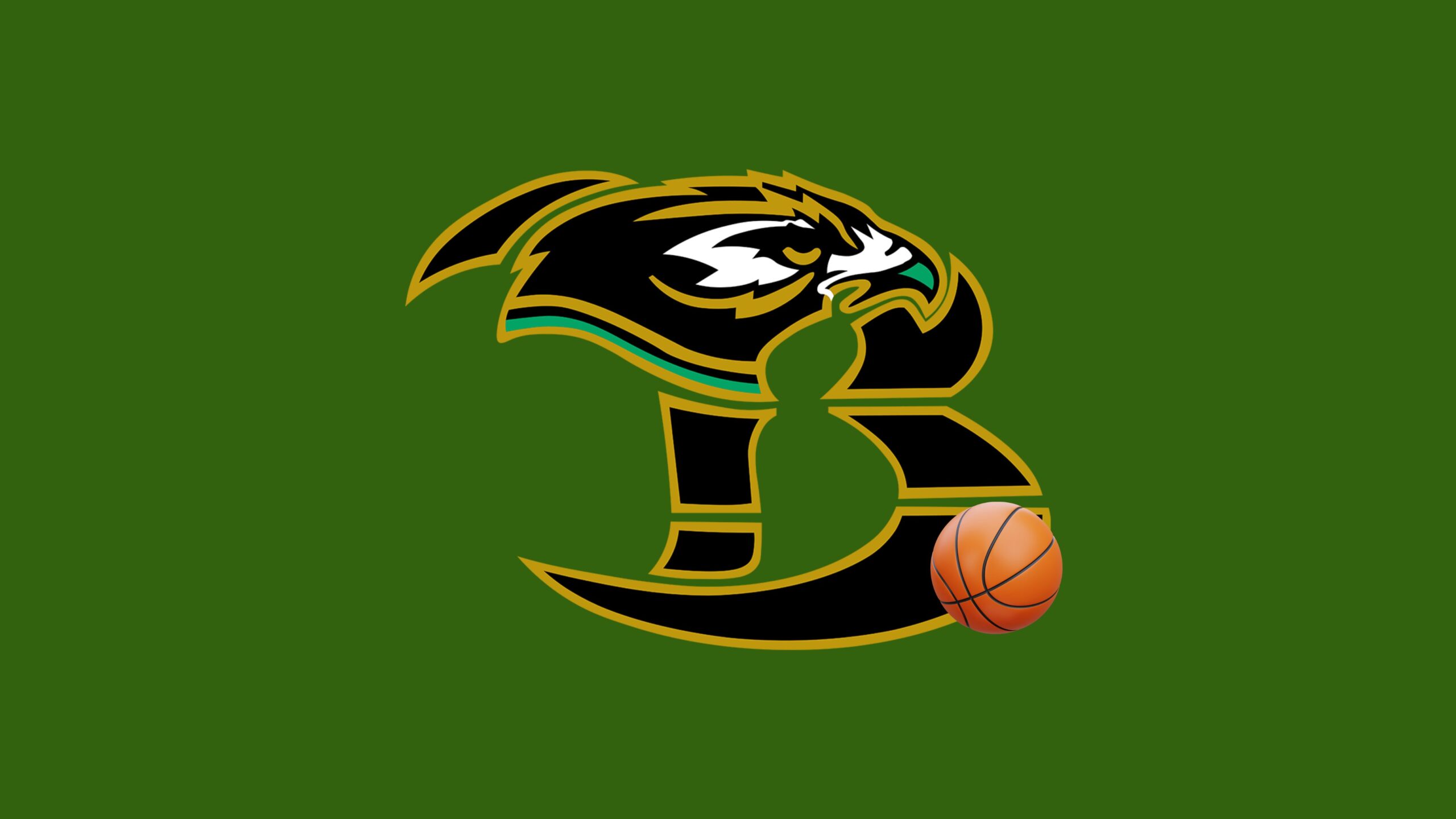 Third times a charm – Birdville beats Denton as Hawks advance to state ...